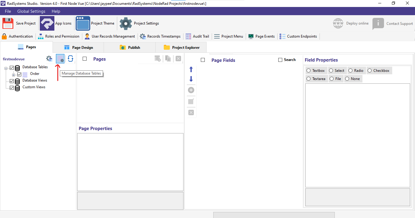 Records TimeStamps | Radsystems Studio Documentation